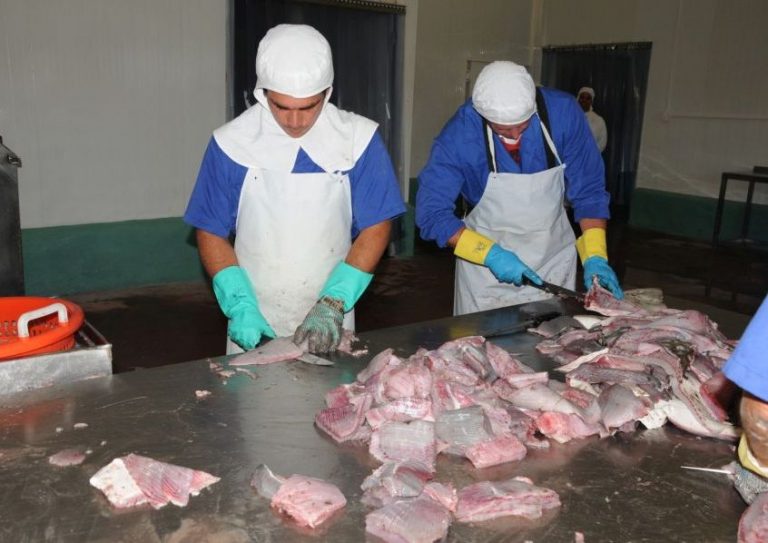 Precios de los productos de EPISAN – Escambray